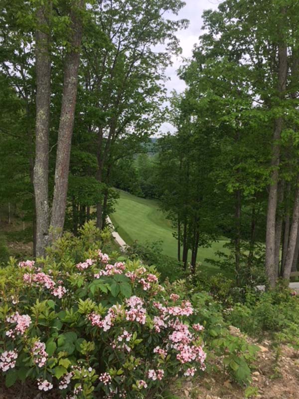 Course Information - Glade Springs Village - Woodhaven and Stonehaven